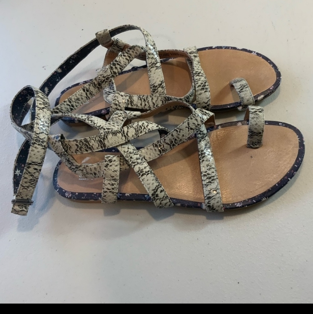 Cabi Athena Gladiator Snake, Reptile Skin Print Strap… - Gem